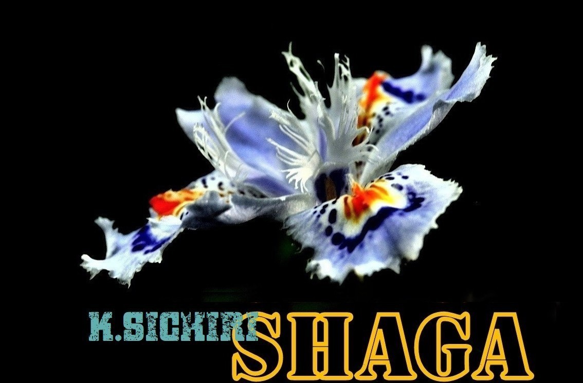 オリジナル曲／SHAGA: やんま工房